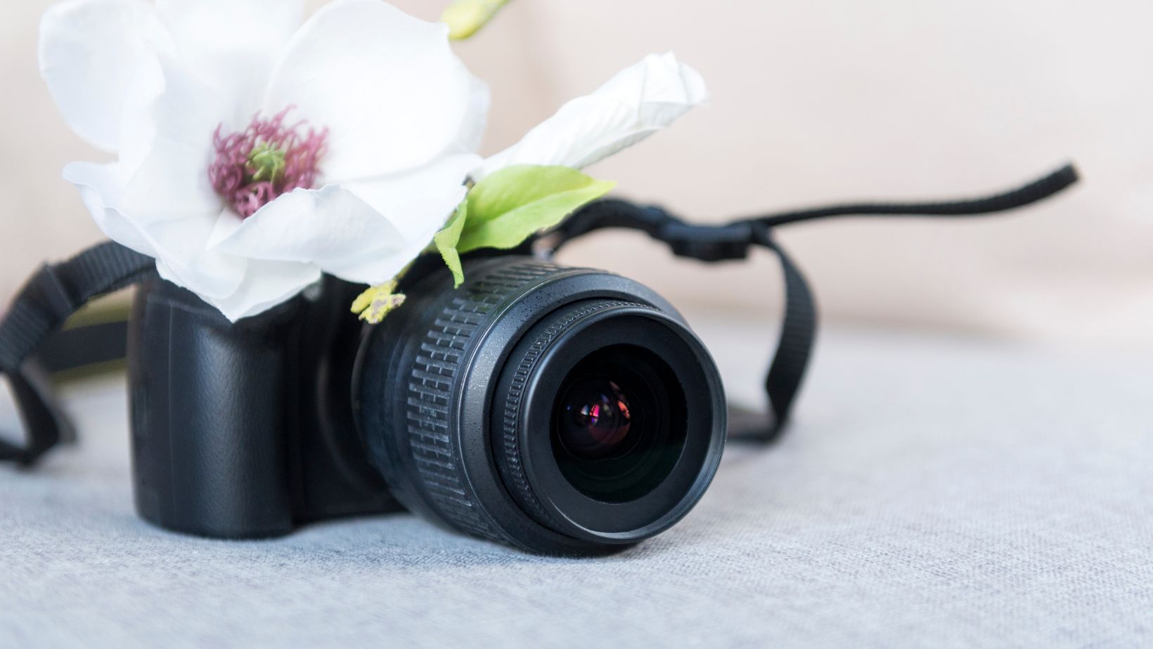 Discover the Unique Benefits of Using Mirror Lens Cameras in ...